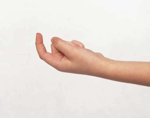 hand-model Object Detection Model by UNICAM