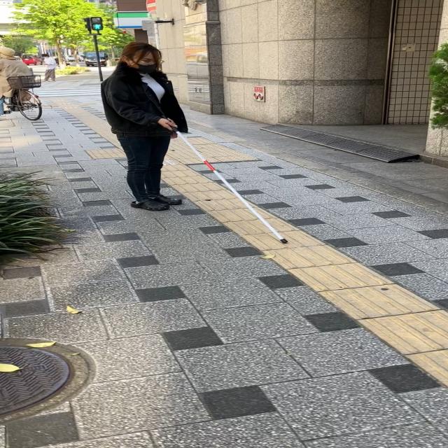 Pmr Detection Object Detection Dataset By Majal Berkane