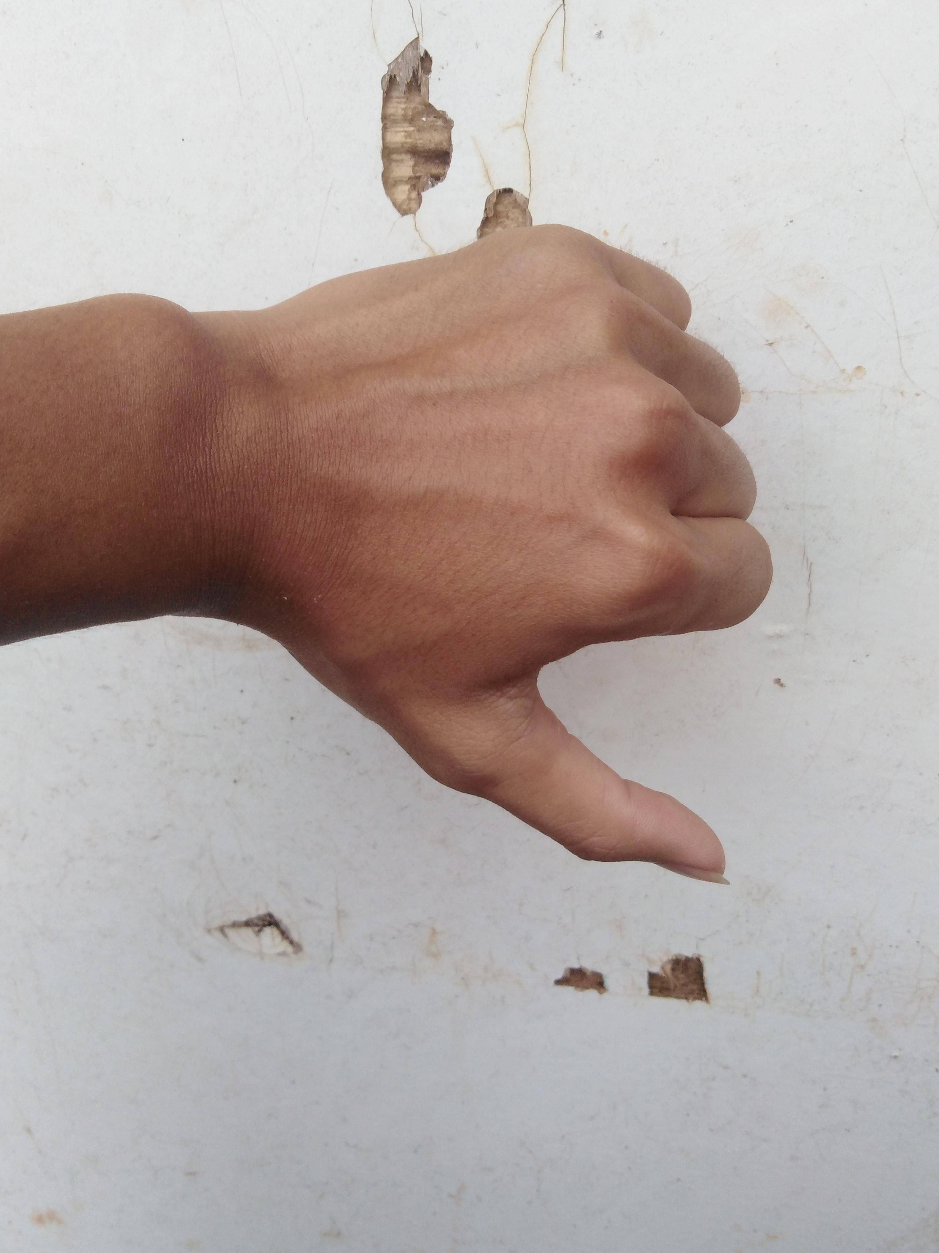 hand Object Detection Dataset by Hand Gesture