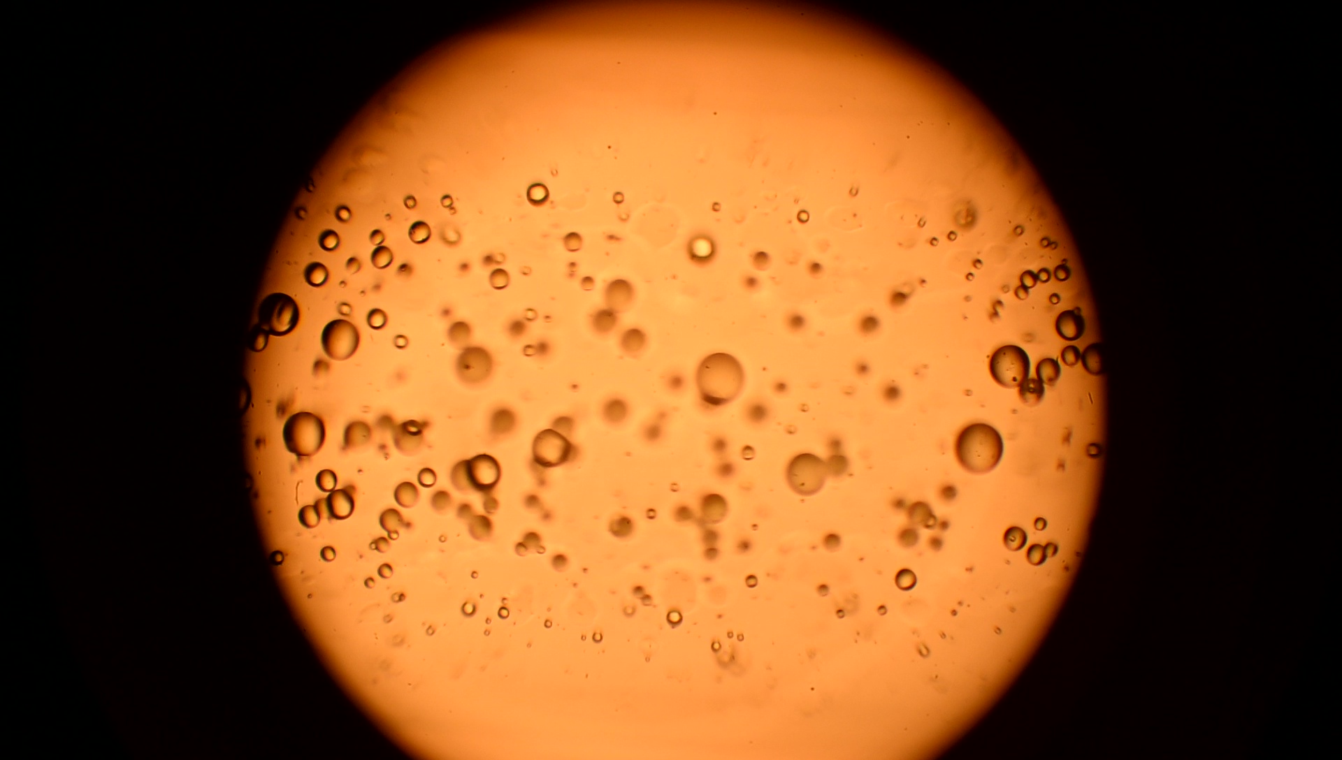 droplet identification Object Detection Dataset by new-workspace-6nexh