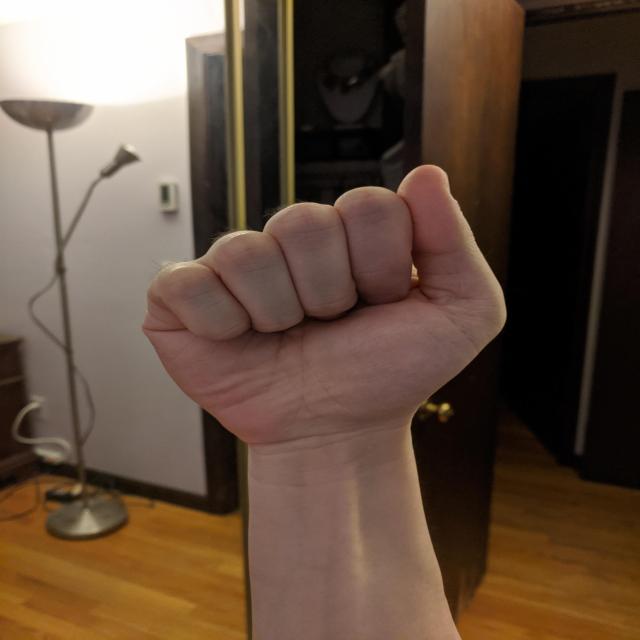 project sign-language Object Detection Model by project-kmbdx