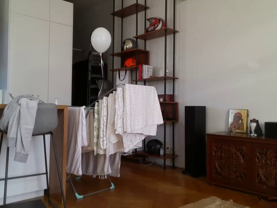 Balloon Object Detection Dataset by VMID