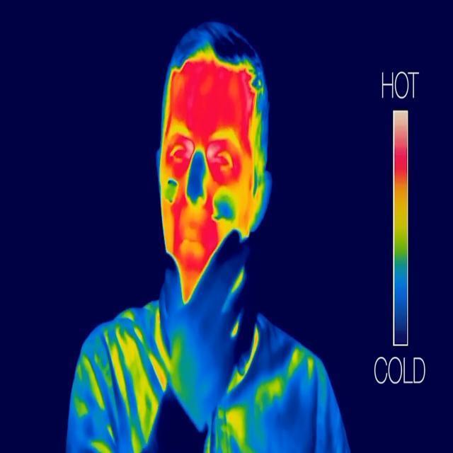 Thermal images (thermal-images-qku1v) - Roboflow Universe