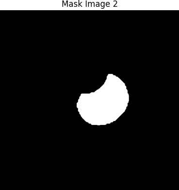 mask_train Instance Segmentation Dataset by tomato