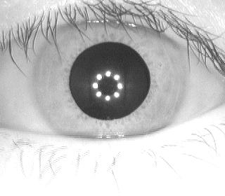 How to Use the Eye detect Object Detection API