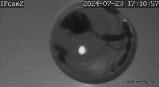 pellet Instance Segmentation Dataset by pellet