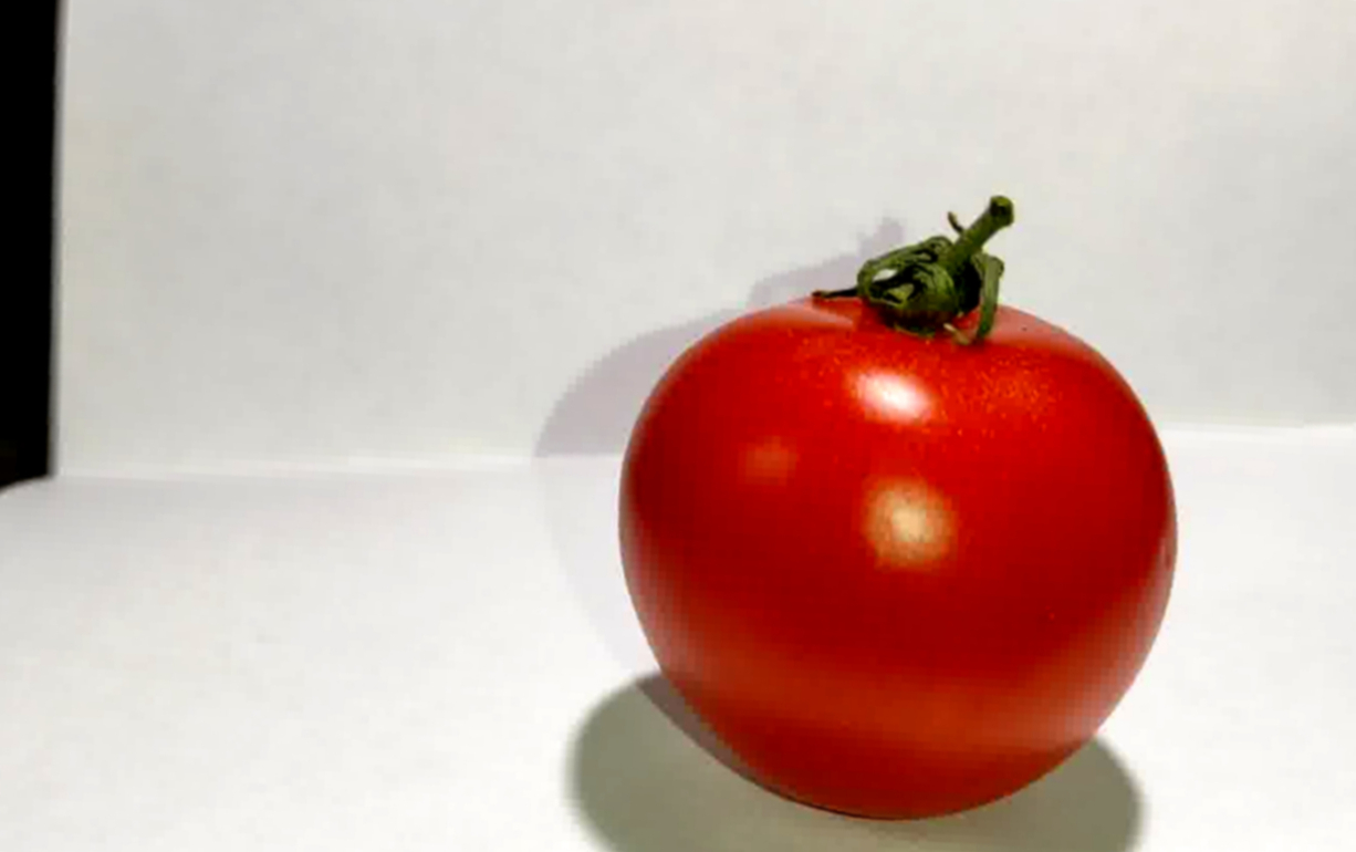 Tomato Object Detection Model by 1