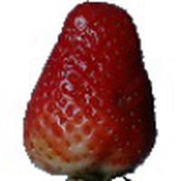 Fruit Classification Classification Dataset by Fruit Classification