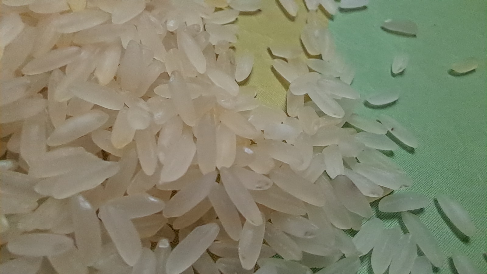 new_rice Object Detection Dataset by SATHESH