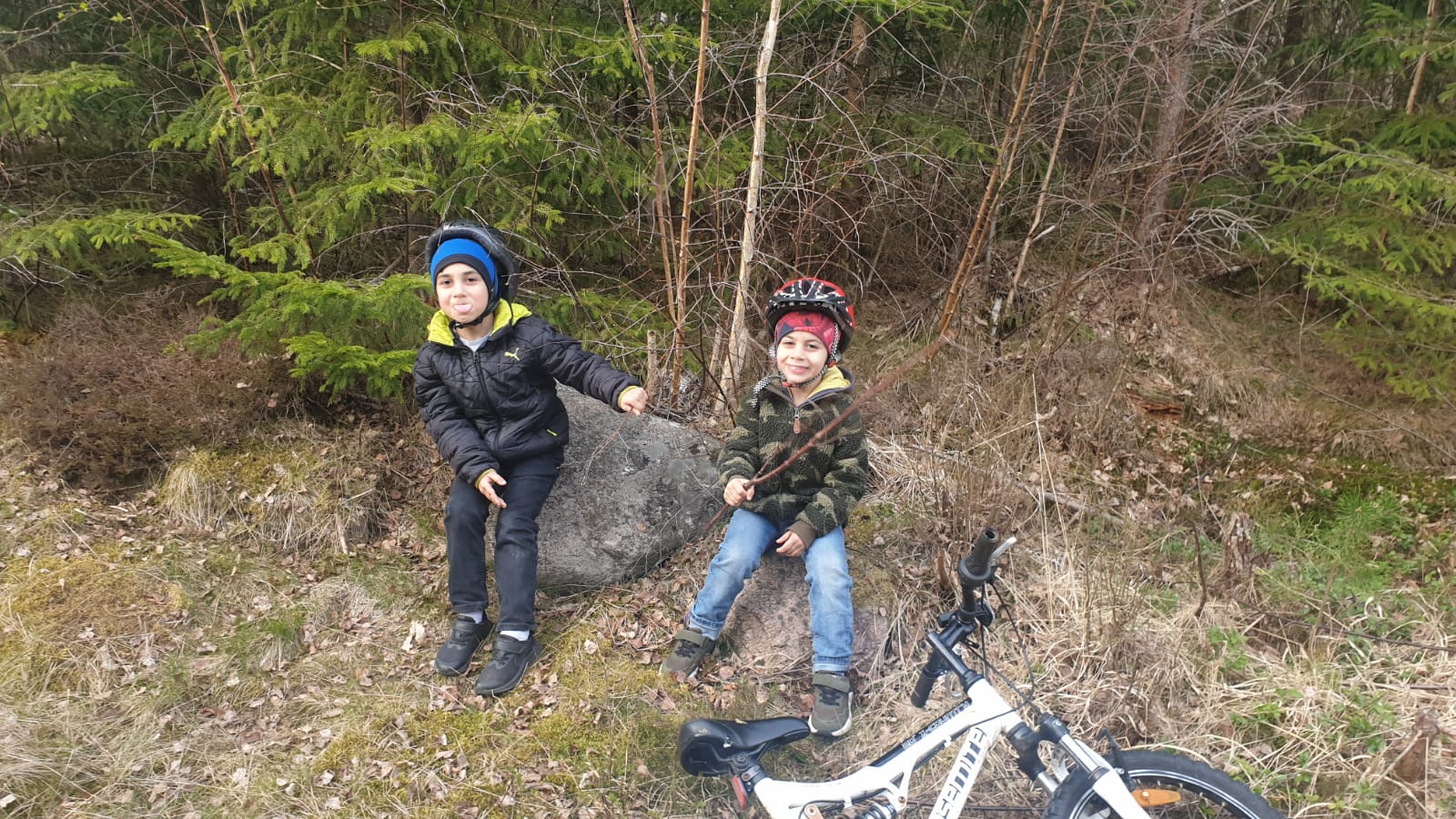 Osman Object Detection Dataset And Pre Trained Model By Adnan