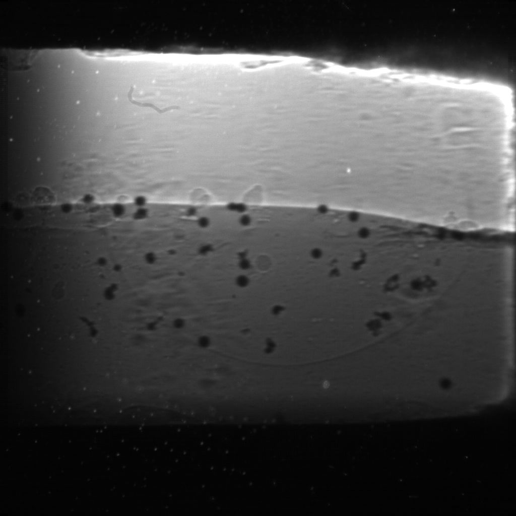Black Balls Tracking Object Detection Model By Chris Team