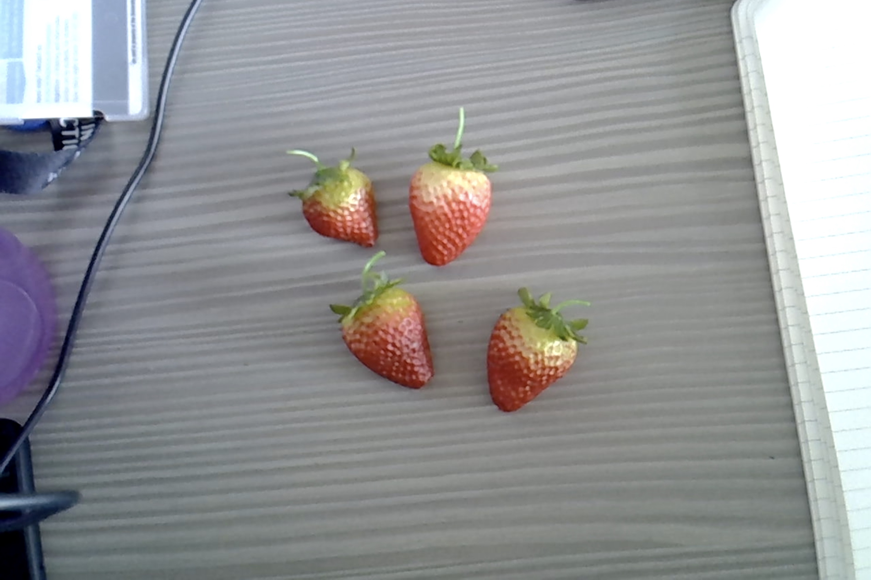 Strawberries Object Detection Model by Strawberry Detection