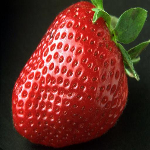 Straw Object Detection Dataset By Strawberry Detection