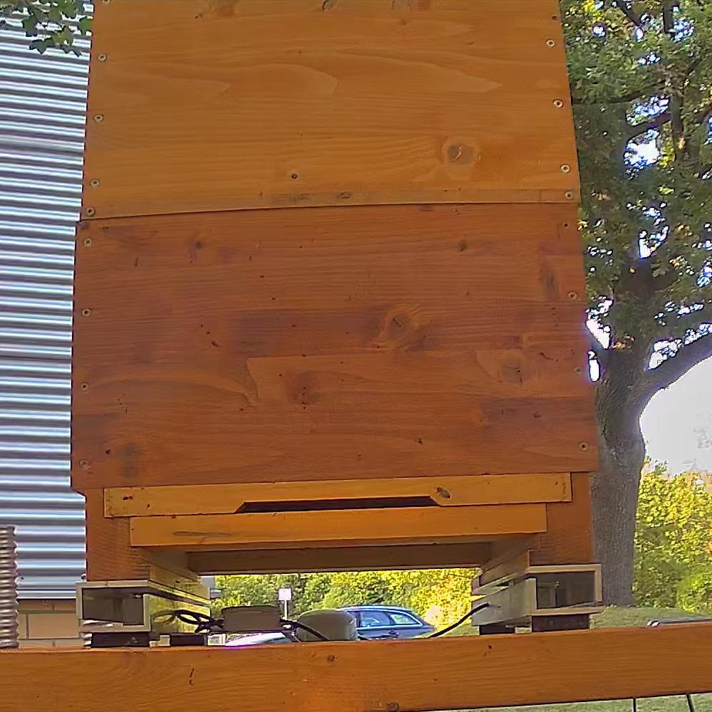 Bees HighRes Object Detection Dataset by Beewatch