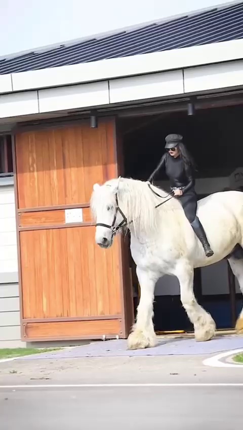 horse_person_detection Object Detection Dataset and Pre-Trained Model by psc2