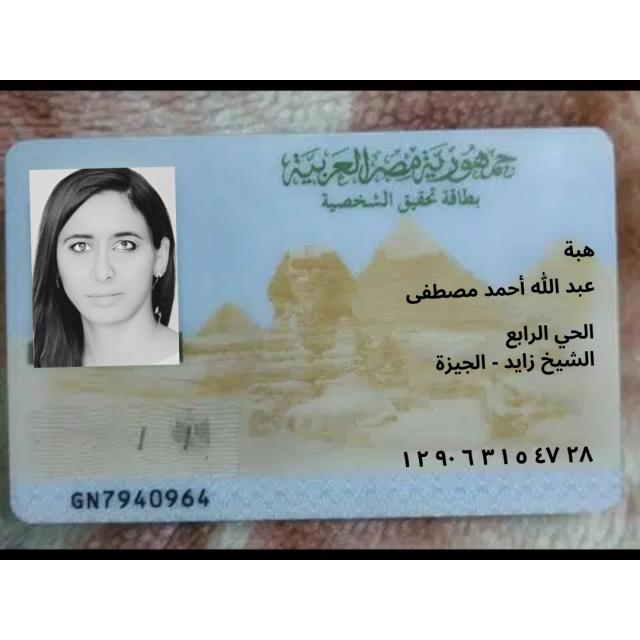 egyptian-id-seg Instance Segmentation Dataset by egyptianids