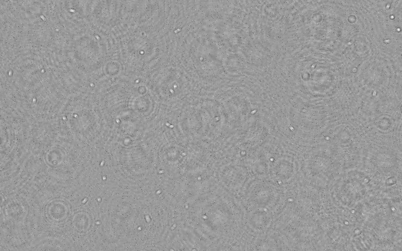 Ecoli Image Dataset Lei Feng Workspace Computer Vision Dataset By