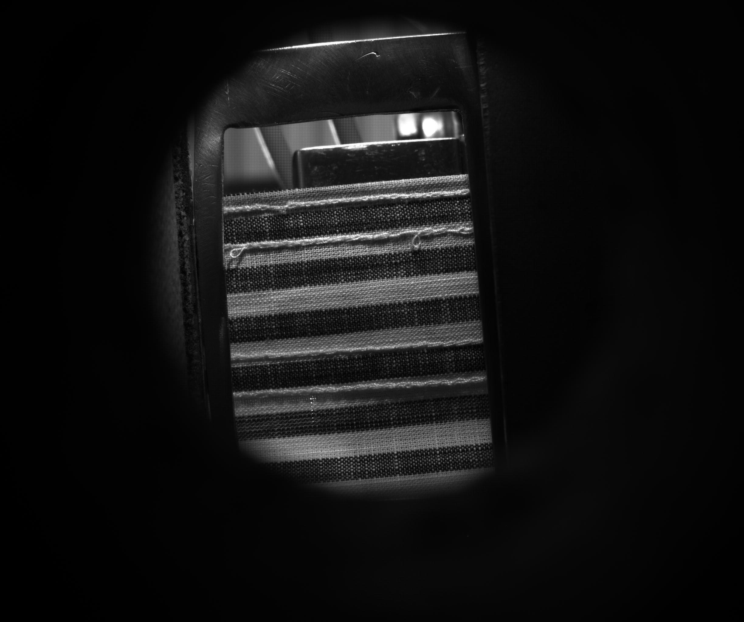 cat Object Detection Dataset and Pre-Trained Model by vishhnu workspace