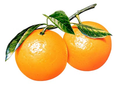 Fruit Object Detection Dataset by Muh Zulkifli