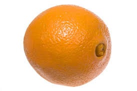 Fruit Ann Instance Segmentation Model by University of kerala