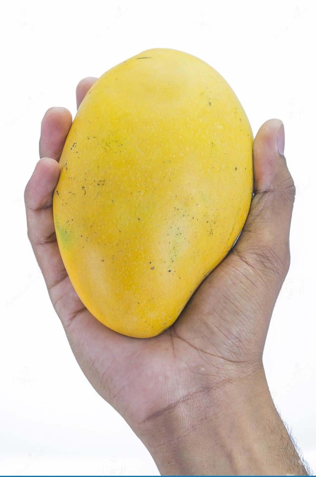 Fruit Annotation Object Det Object Detection Dataset By University Of