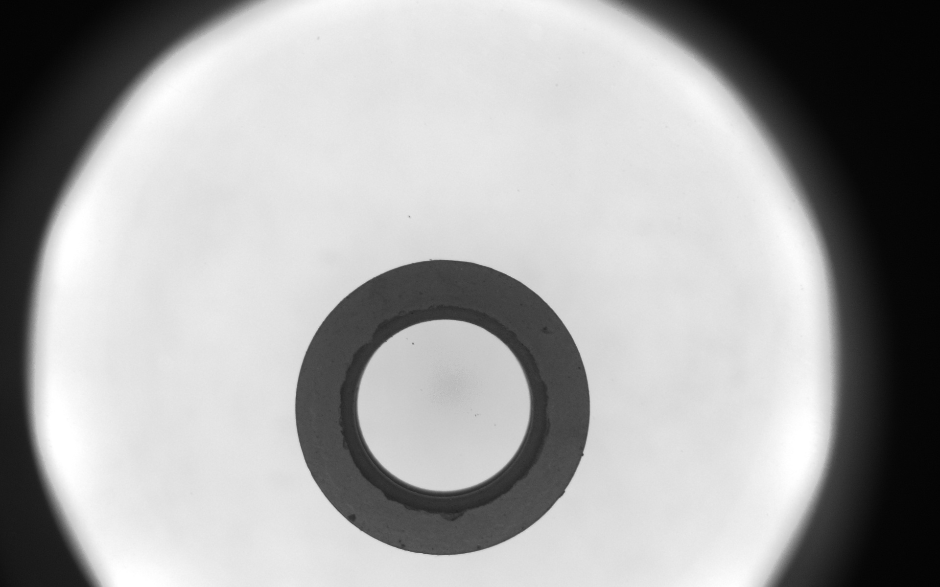 svp Instance Segmentation Dataset by College