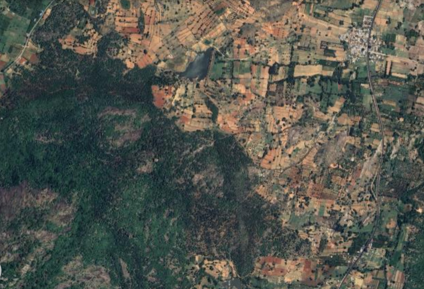 drought Instance Segmentation Model by abc