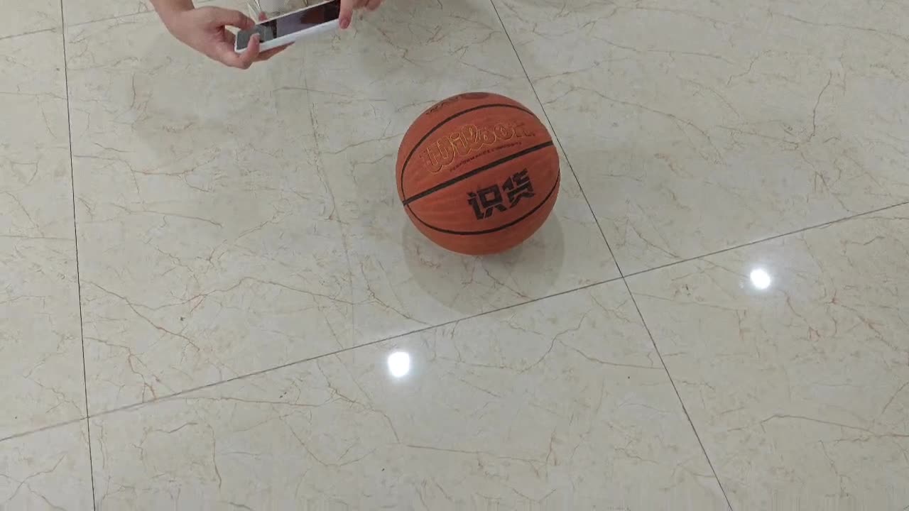 basketball Object Detection Model by pingpang