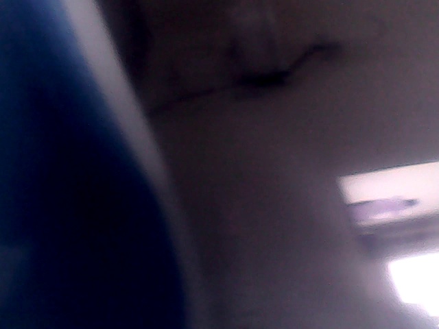 Underwater Object Detection Object Detection Dataset And Pre Trained Model By 20bme058 Musab Masood