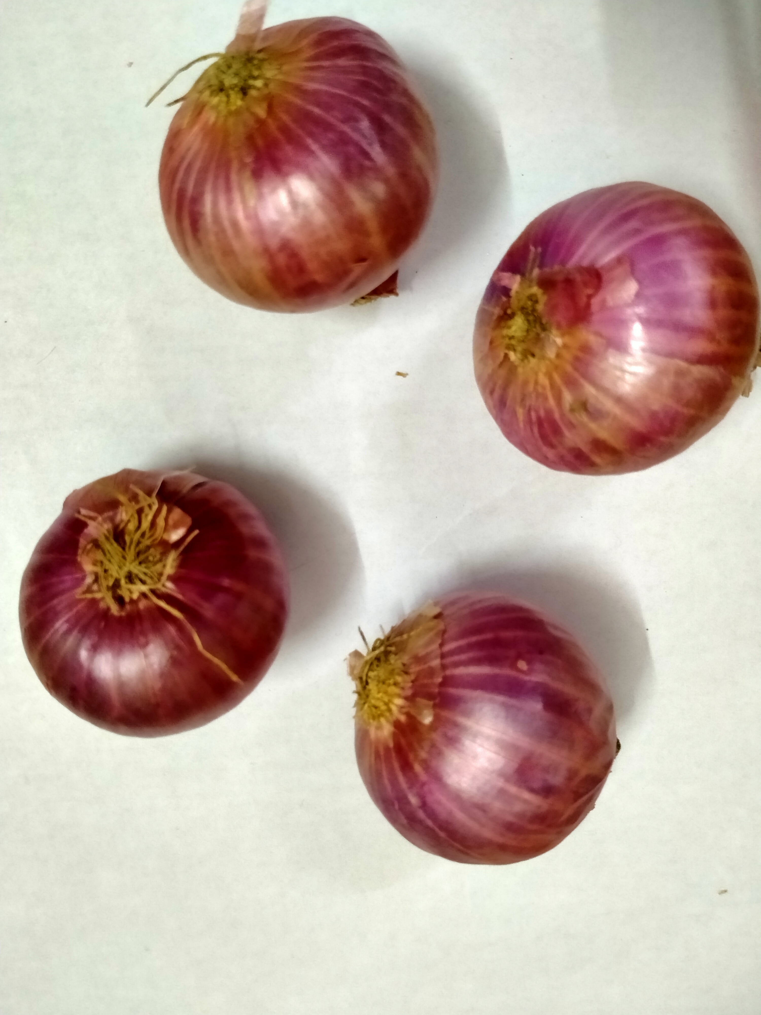 How to Use the fruits Freshness Object Detection API