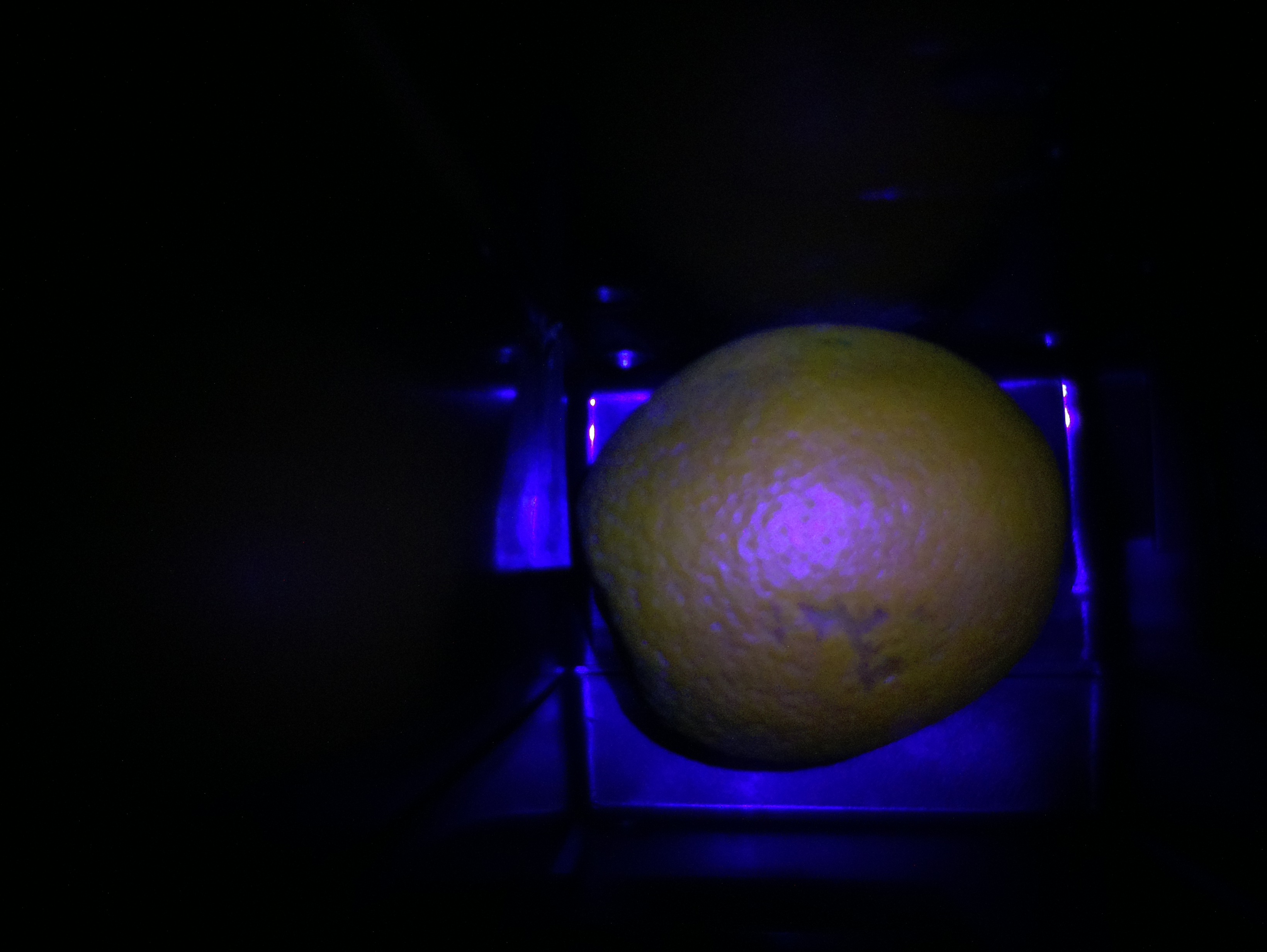 fyp 2 Object Detection Dataset by OrangeDamageDetection