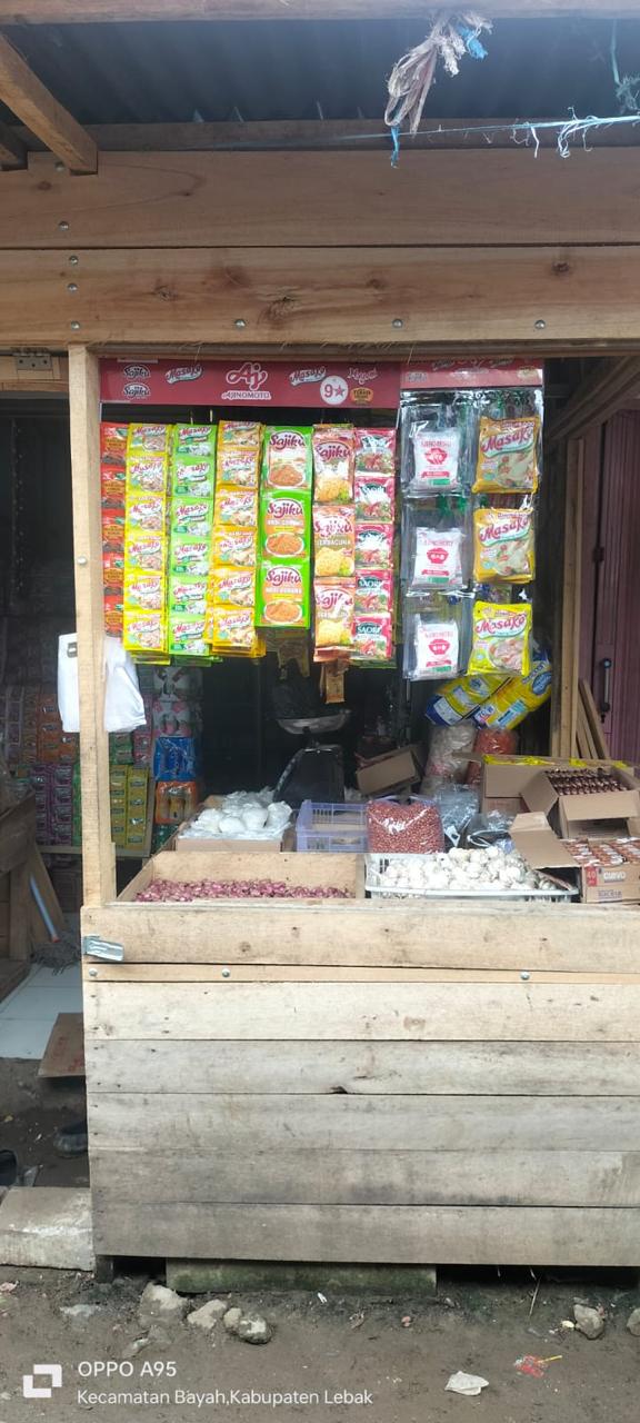 Fase 6 Instance Segmentation Dataset by IRA