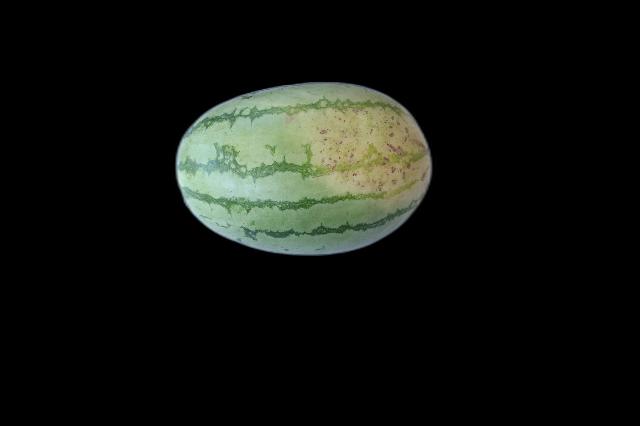 Sweetness Level of Watermelon Object Detection Dataset by sweetnessLevel