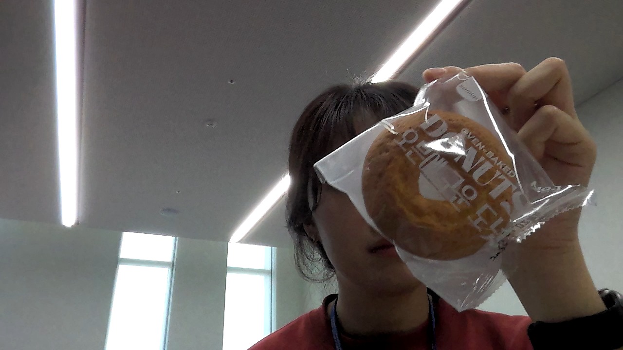 will_donut_maxbong Object Detection Model by movimage