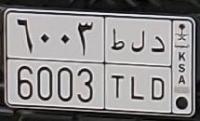 Saudi License Plate Recognition Object Detection Dataset and Pre-Trained Model by Saudi License ...