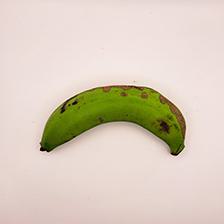 Banana Clasification Classification Model by Shellasakila