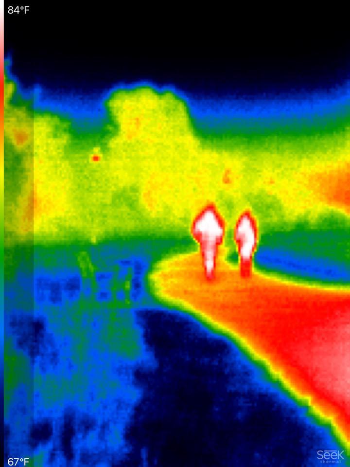 Temp dogs and person Object Detection Model by F