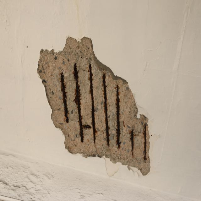 Prova Object Detection Model by Polibapr