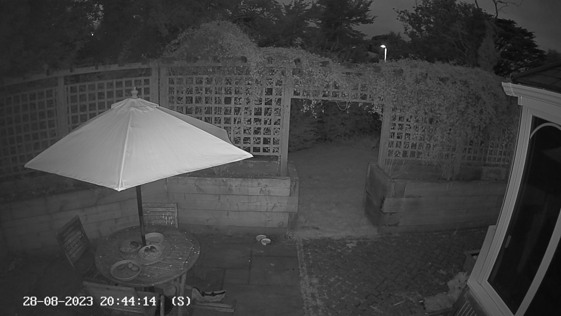 Hedgehogs Object Detection Dataset and Pre-Trained Model by Stuarts Workspace