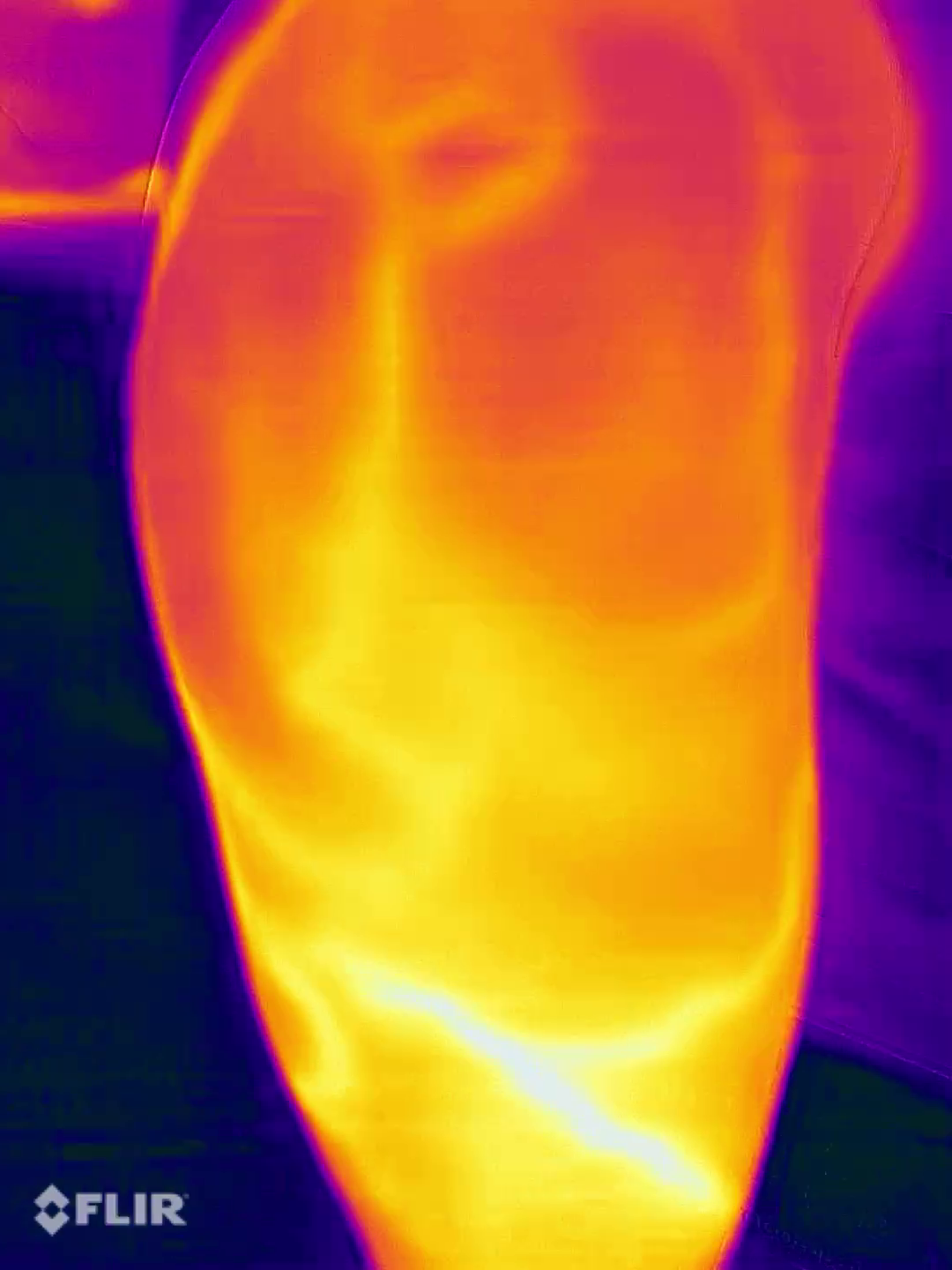 thermal_images Object Detection Dataset by project-ybyir