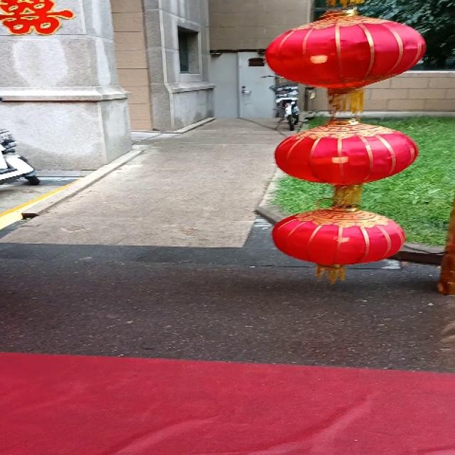 hengDaProject Instance Segmentation Dataset by MyWorkSpace