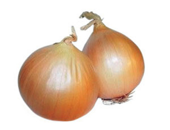 onion Object Detection Dataset by enginelidit