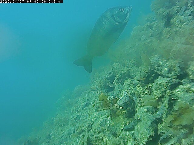 Test Ver2 0 Object Detection Dataset V1 2023 01 12 9 11am By New Workspace Isadx