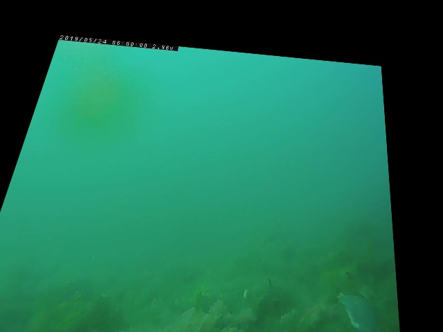 Kurodaidake Object Detection Dataset By New Workspace Isadx