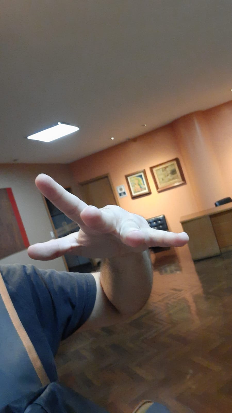 Hand Detector Object Detection Dataset By Yolohands