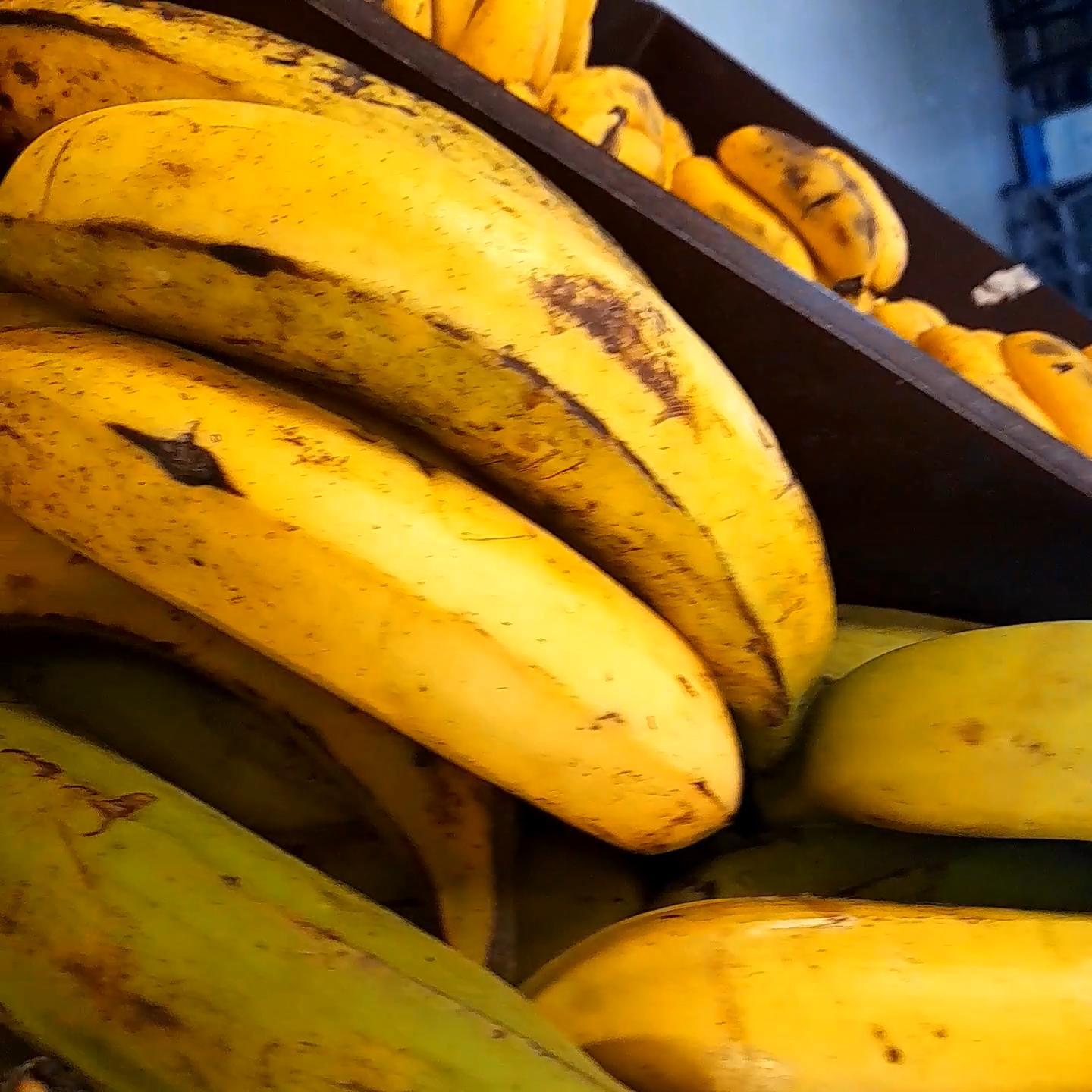 Banana Detection Sv3 Object Detection Dataset And Pre Trained Model By