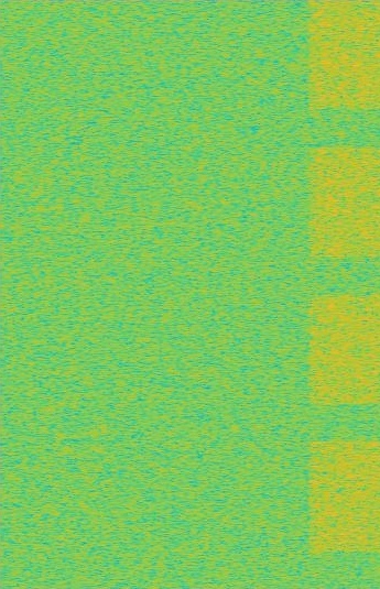 Spectrogram Object Detection Dataset By Fruits