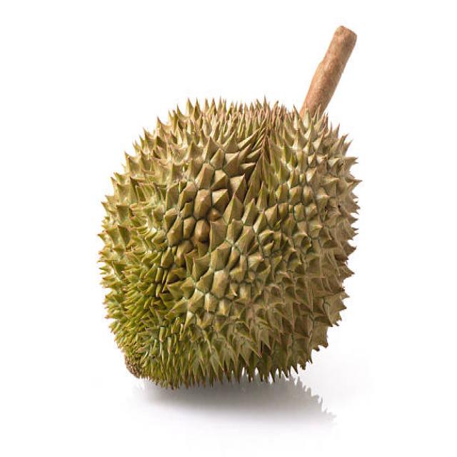 durian-detection Object Detection Dataset by tomato