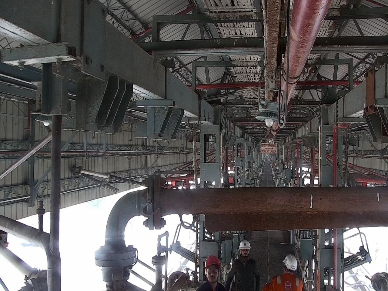 ppe-detection Object Detection Dataset by Algo8