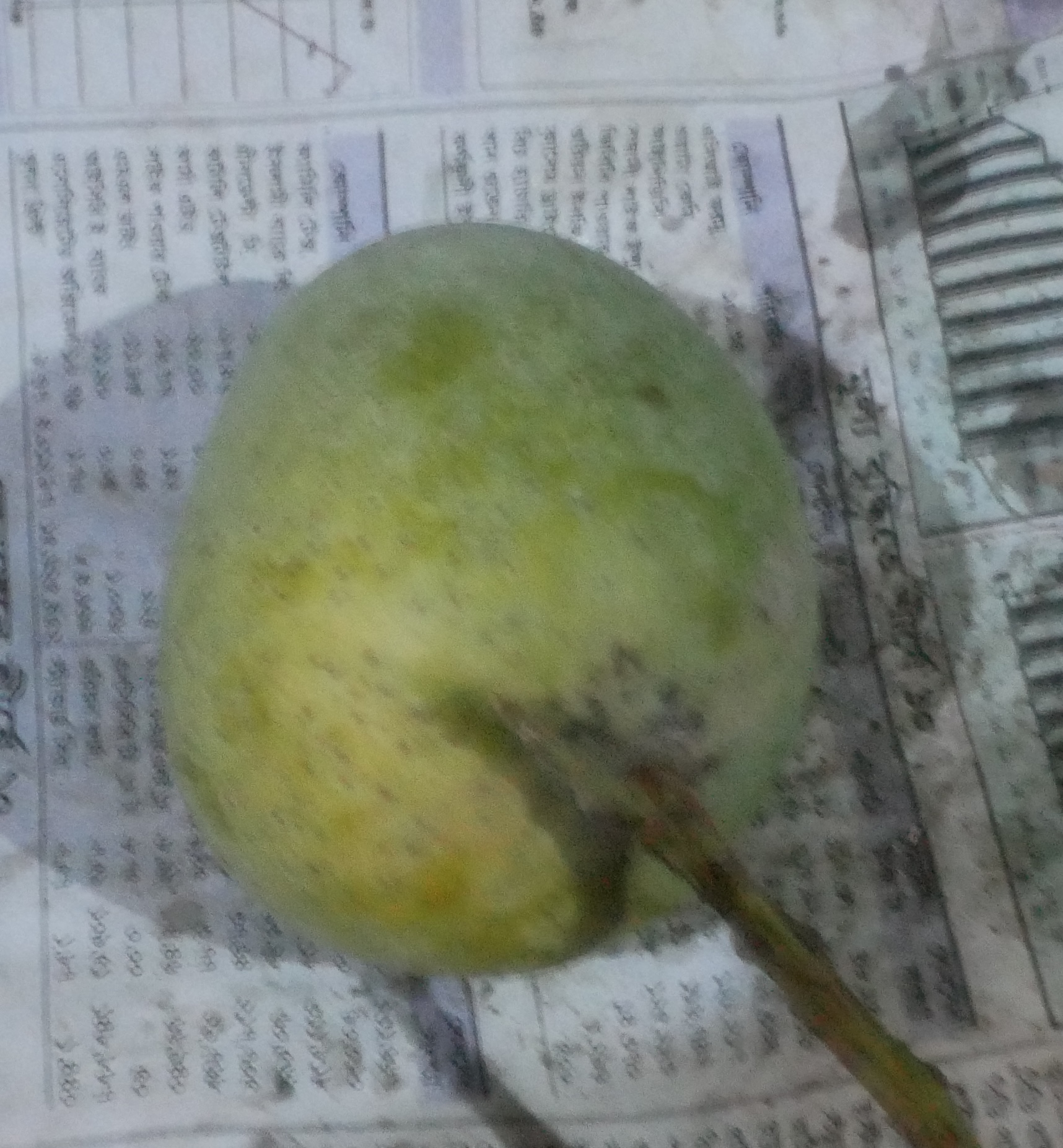 Mango_Place_detection Object Detection Dataset and Pre-Trained Model by Student